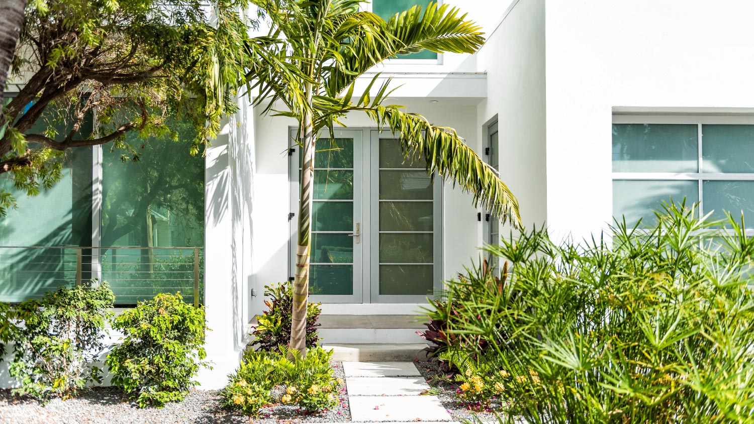 How To Remove Palm Tree Stump