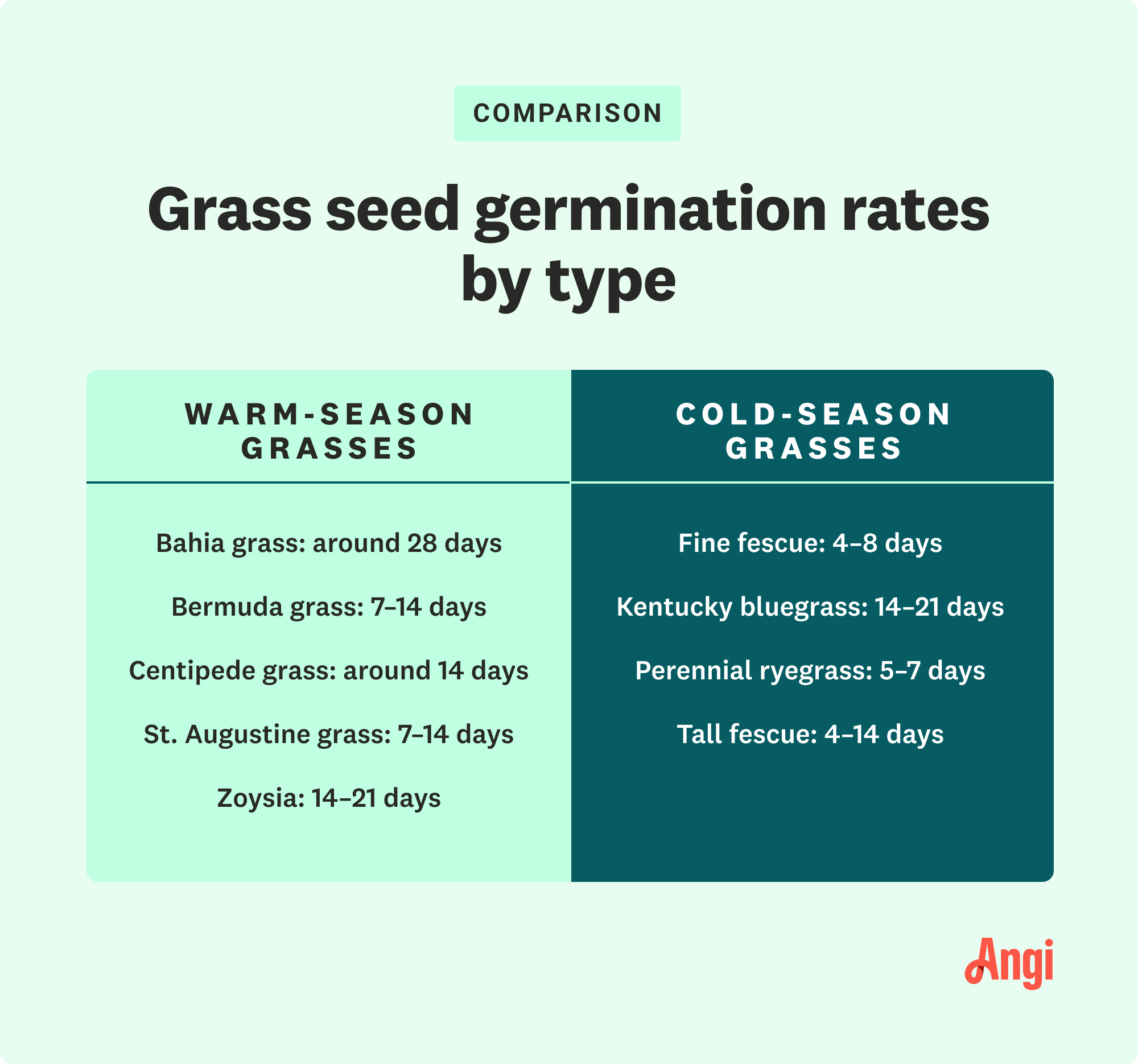 How Long Does It Take For Grass Seed To Grow Angi