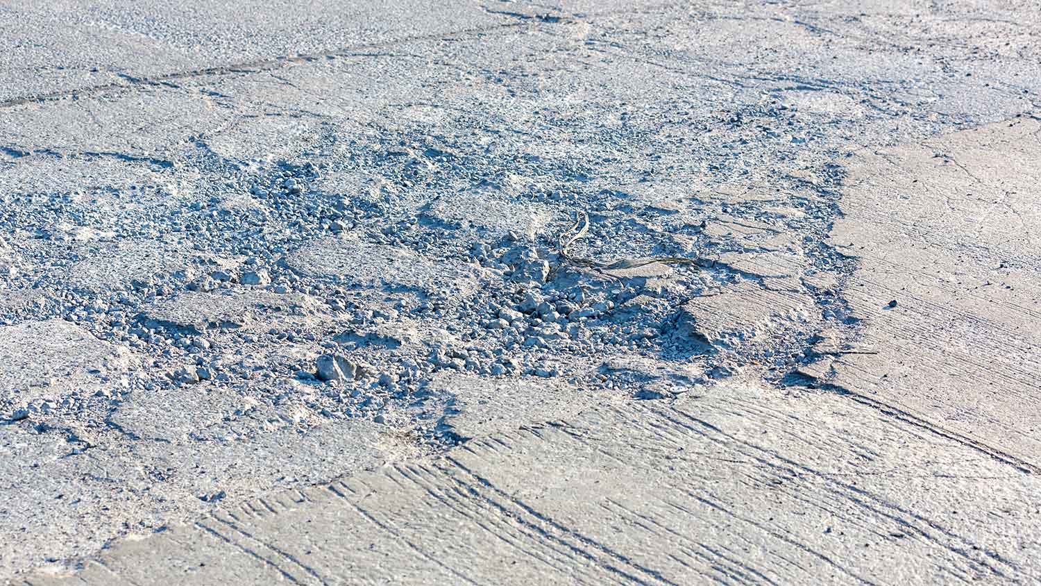 8 Common Types Of Cracks In Concrete Angi